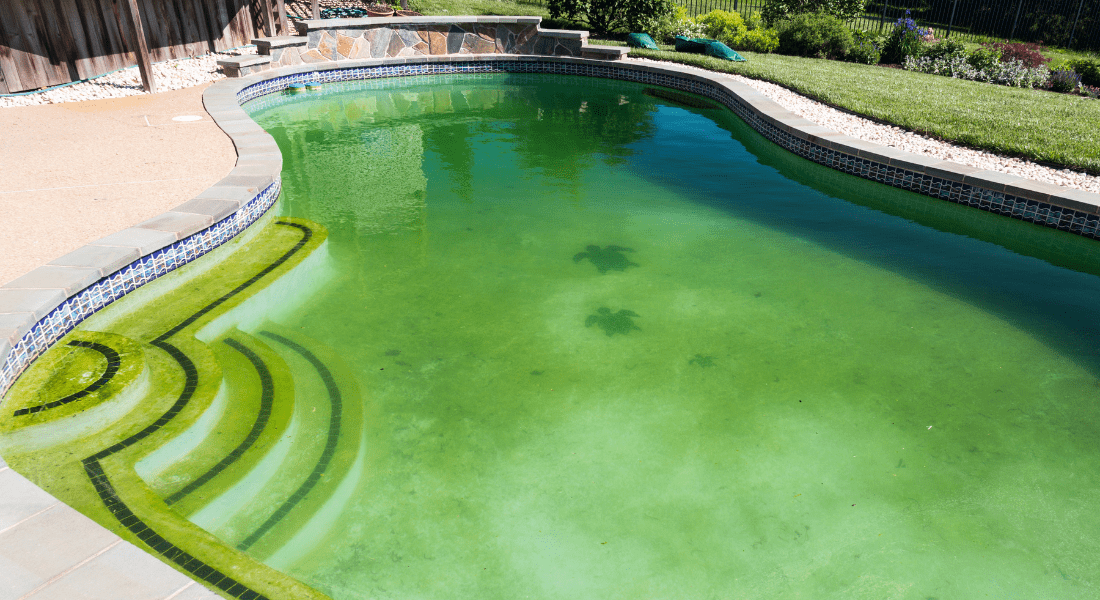 How to Make Pool Water Clear : Expert Tips & Tricks | Sutton Pools